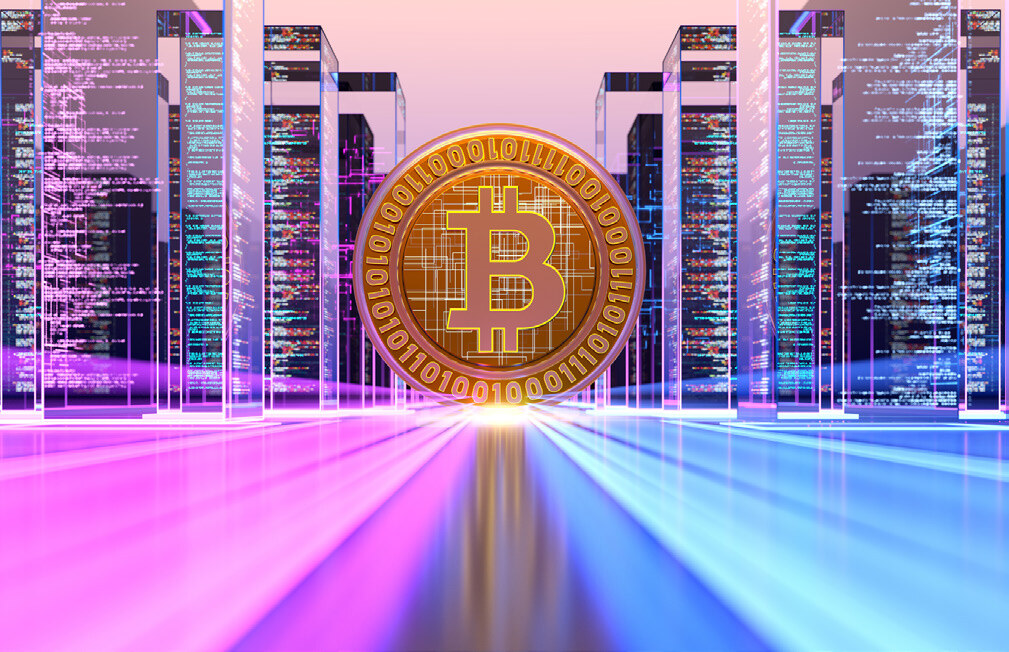 Bitcoin climbs the market cap rankings